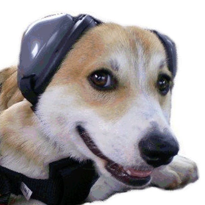 Mutt Muffs Dog Hearing Protection From Sporty s Pilot Shop