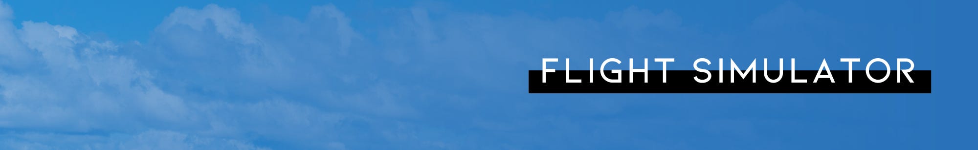 Flight Simulator