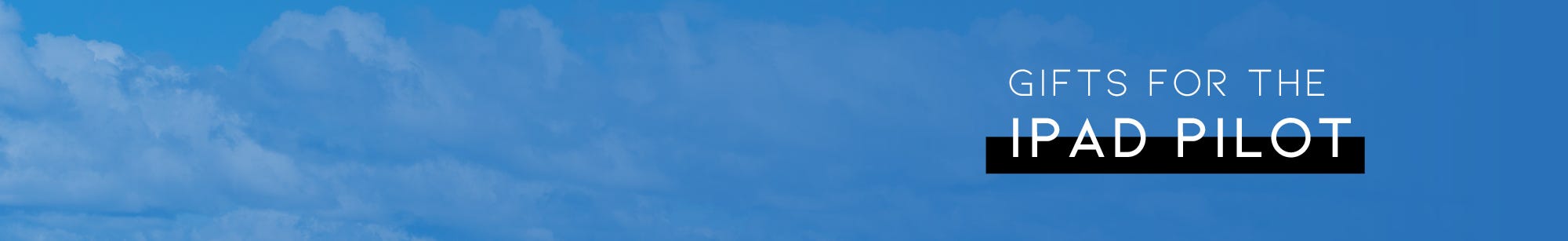 iPad Pilot