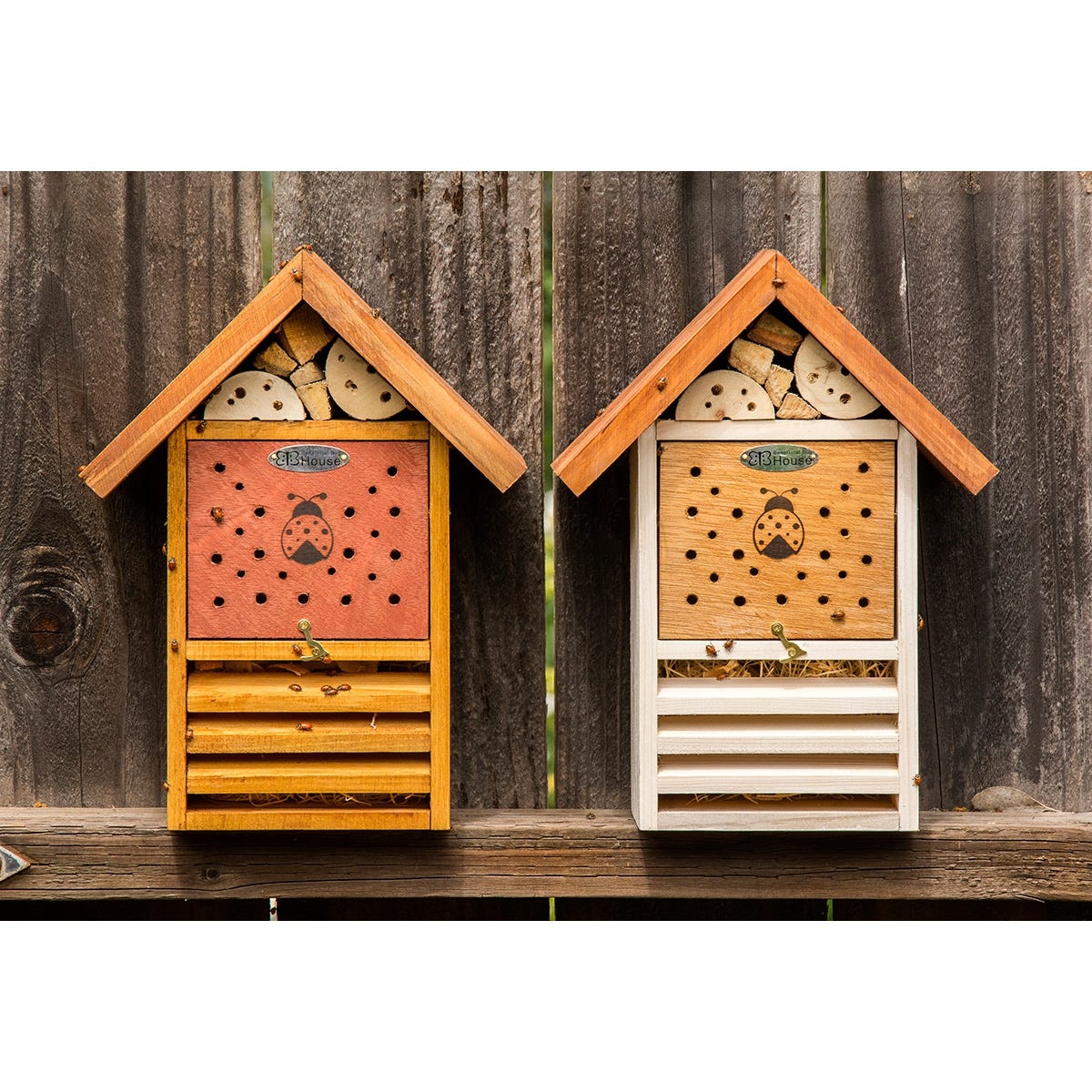 Bamboo Ladybug House